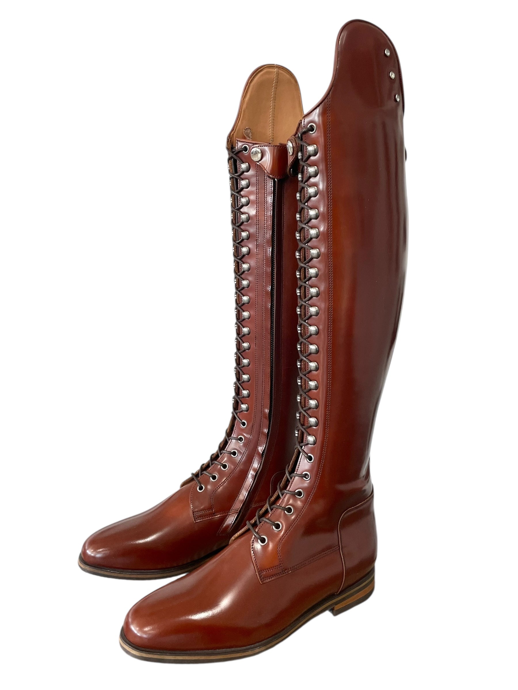 TDR's Kristin H 2.0 (Celeris Bia Compete) – The Distinguished Rider