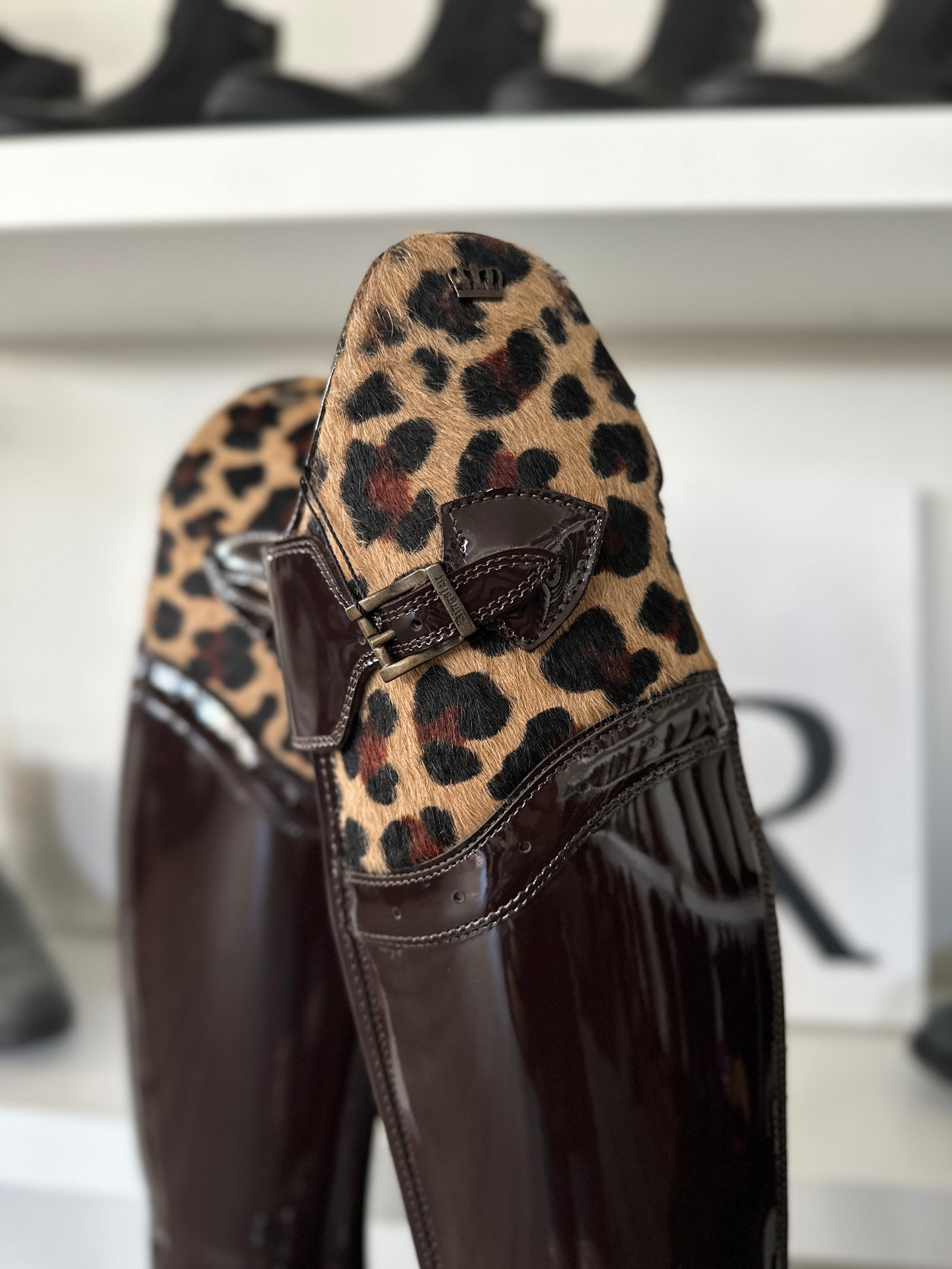 Kingsley London 01 (Roma Castanho) – The Distinguished Rider