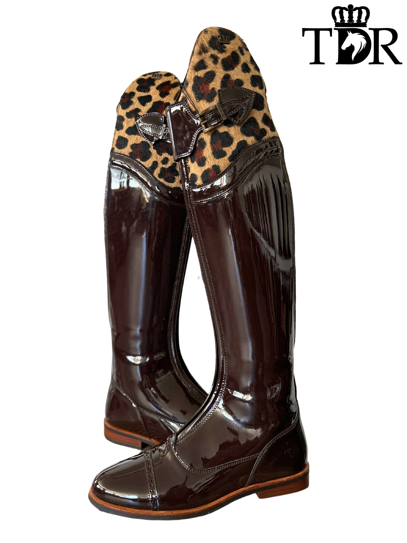 Kingsley London 01 (Roma Castanho) – The Distinguished Rider