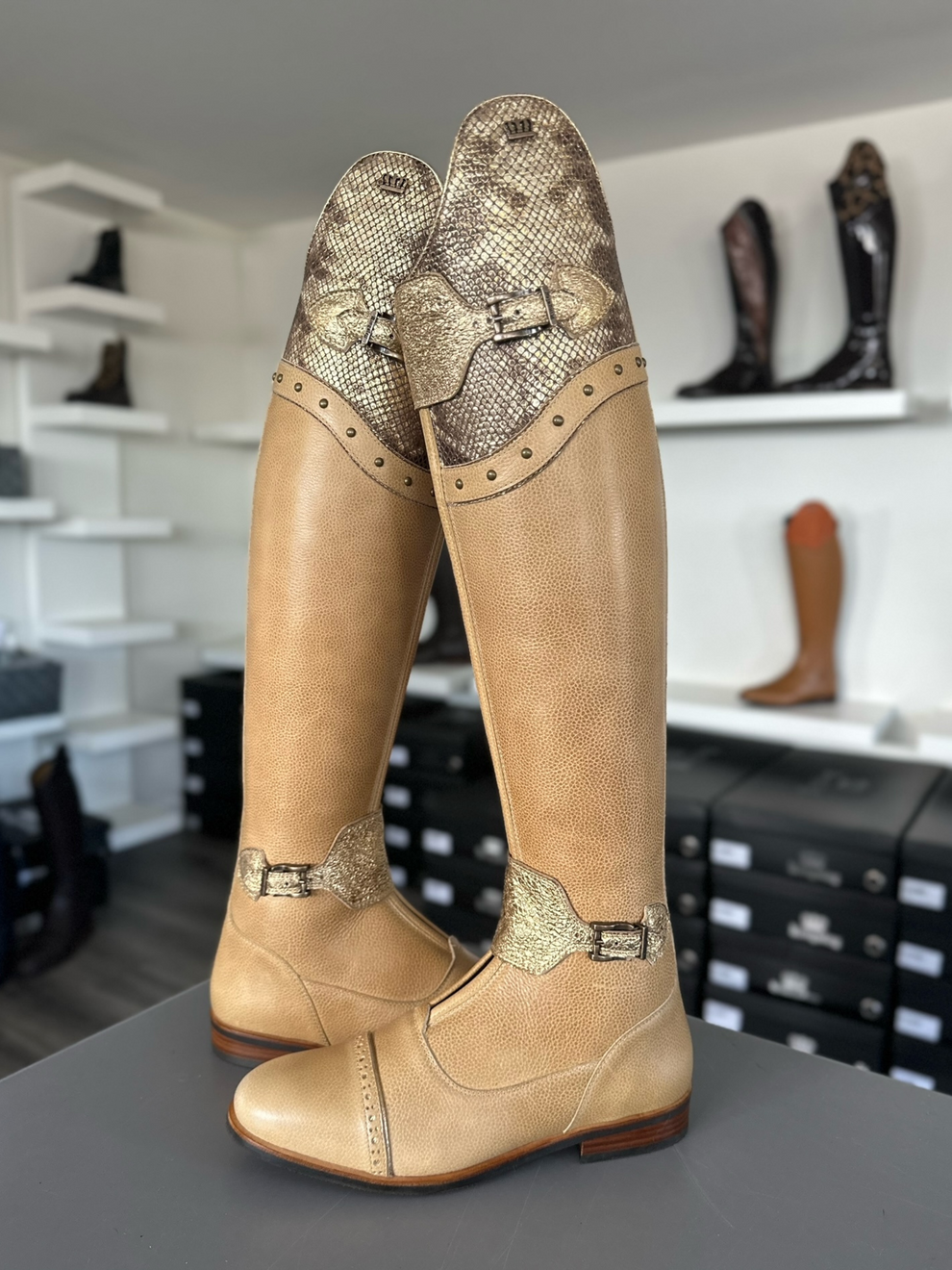 TDR's Olivia S GOLD Edition (Kingsley London 02) – The Distinguished Rider
